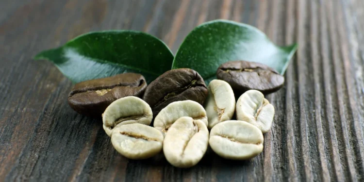 Panama Geisha Coffee: World's Most Prized Varietal